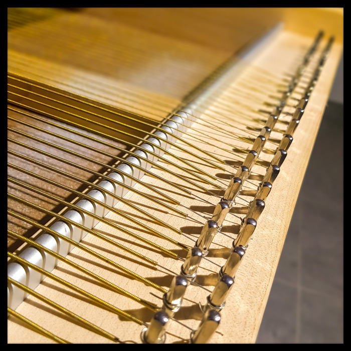Our Instruments :: Soundspaleo